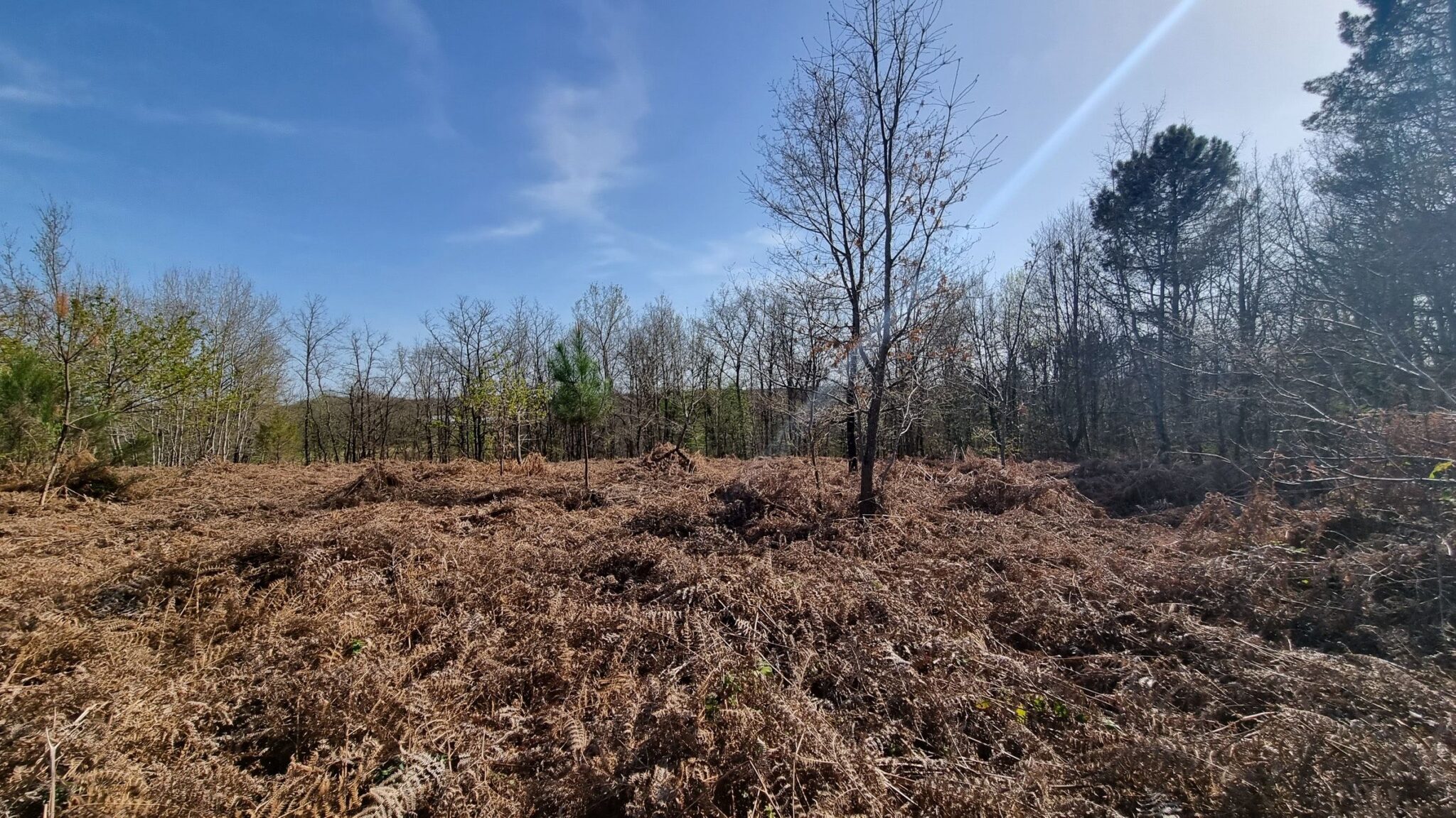 Land on the heights of Vergt - ICI DORDOGNE